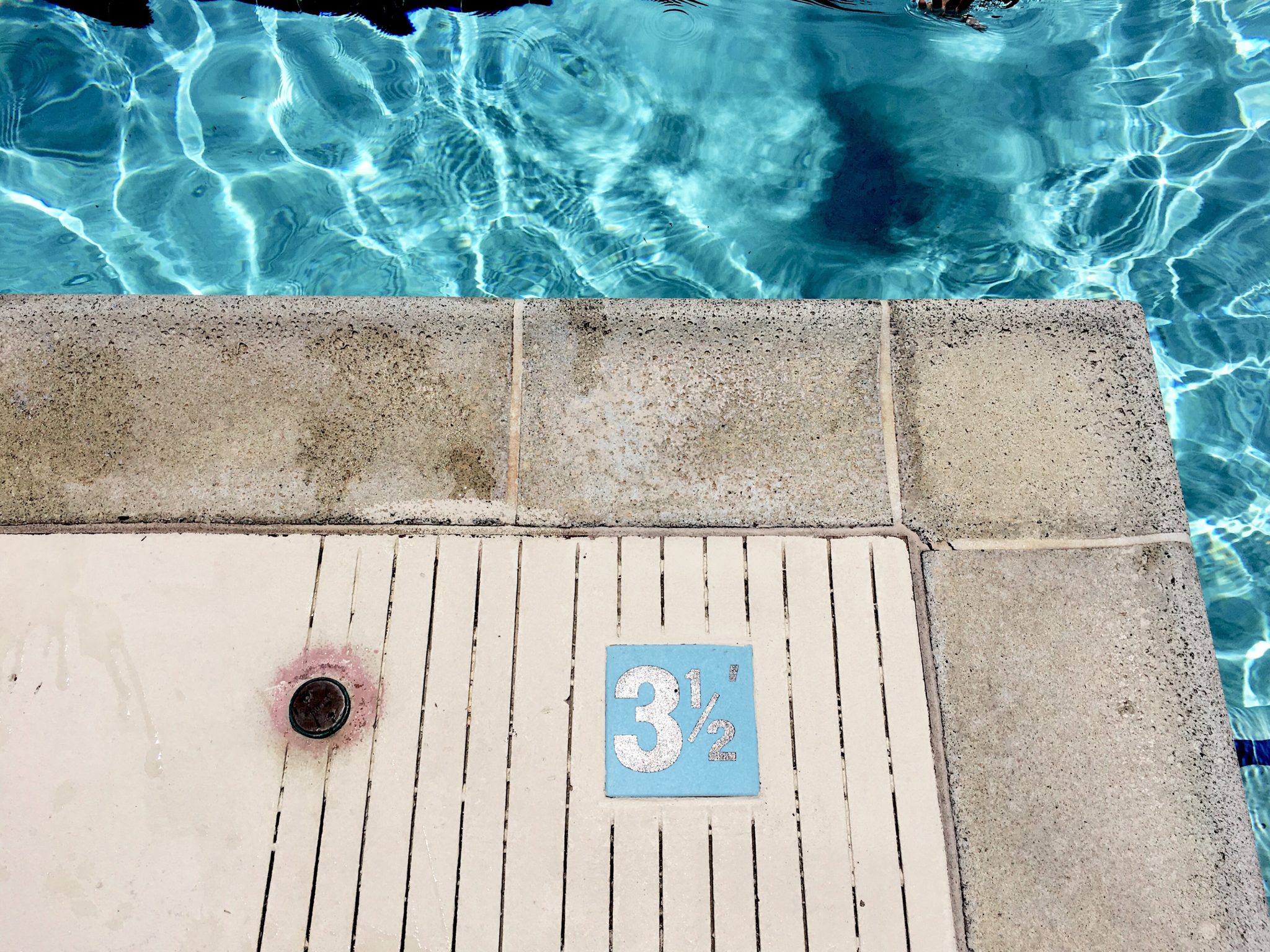 Mckenlarven Im Pool